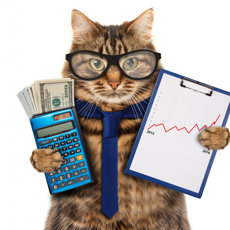 Why Does The Topic Of Taxes Often Appear In Adventure Detectives Why Does The Topic Of Taxes Often Appear In Adventure Detectives